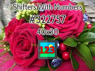 Shifters with numbers №322757